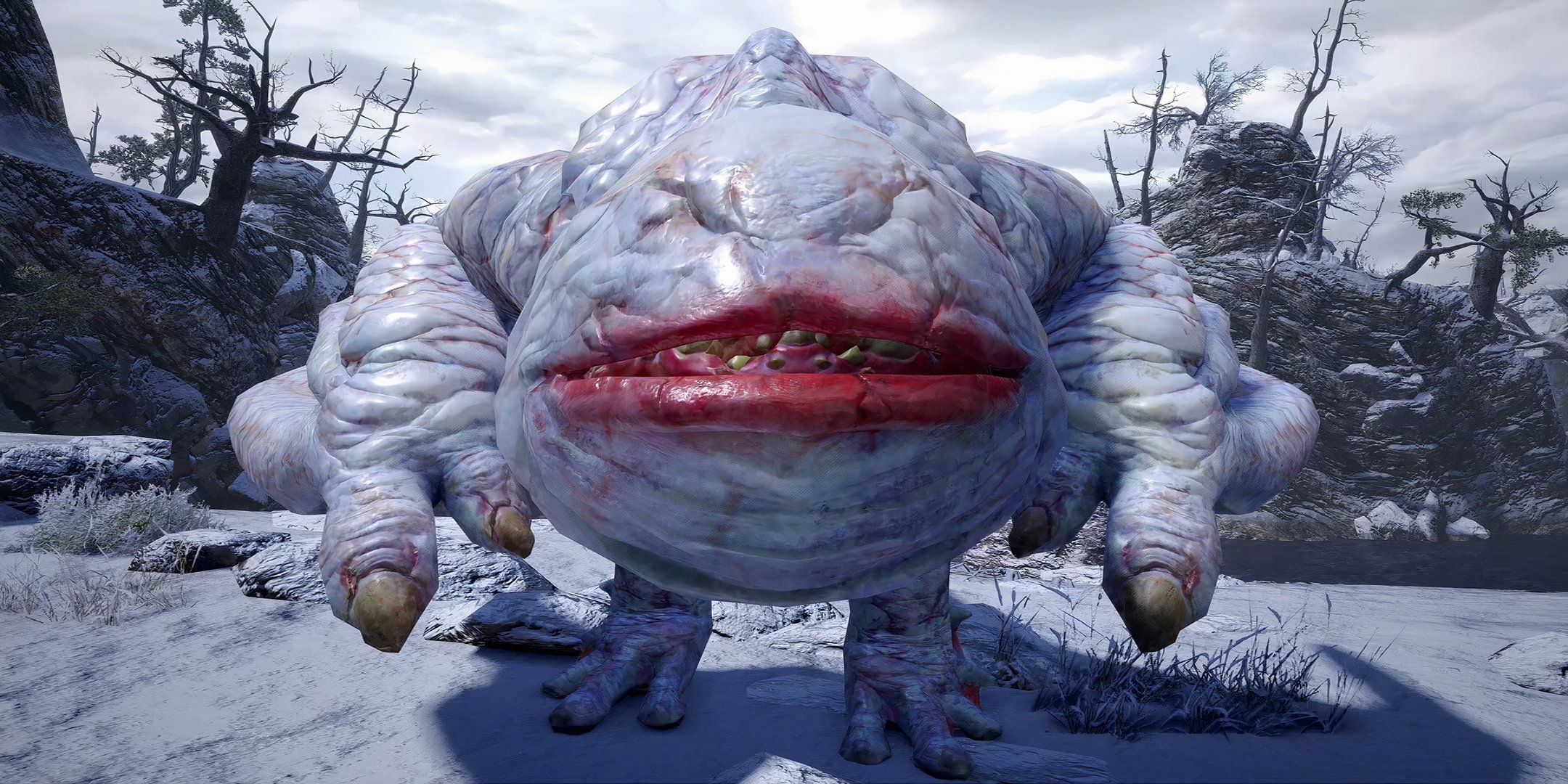 A Newly Discovered Spider Has Been Named After A Monster Hunter Enemy ...