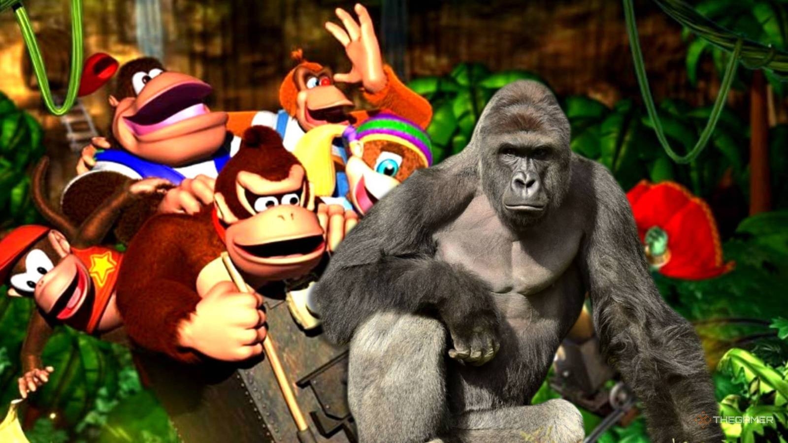 On The Tenth Anniversary Of Harambe's Death, Nintendo Announces Donkey ...