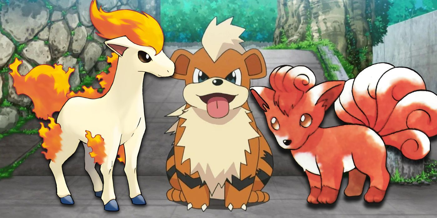 Pokémon Center Just Got The Perfect Collection For This Gen 1 Fan ...
