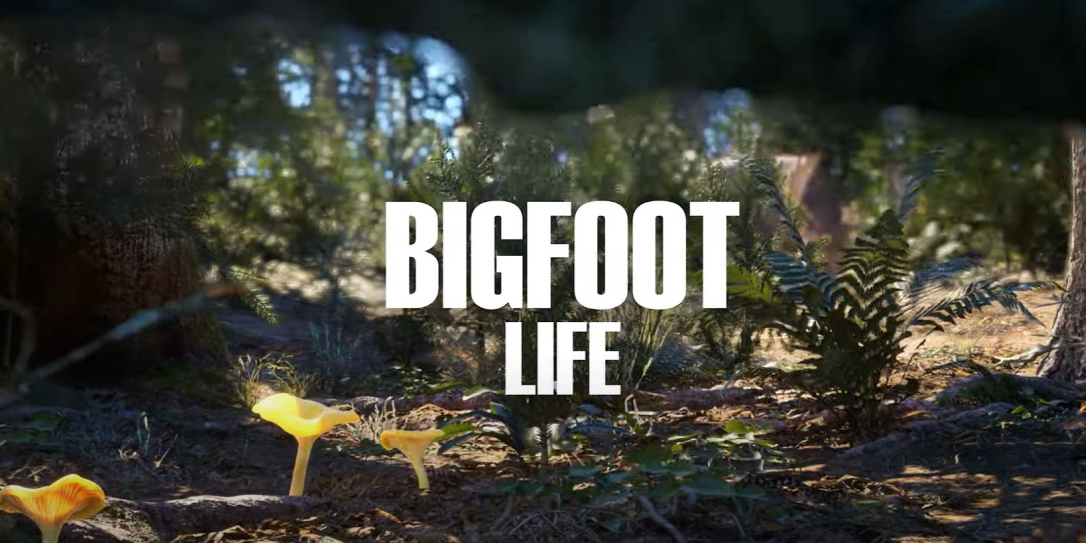 Upcoming Survival Game Is All About Bigfoot - OpenCritic