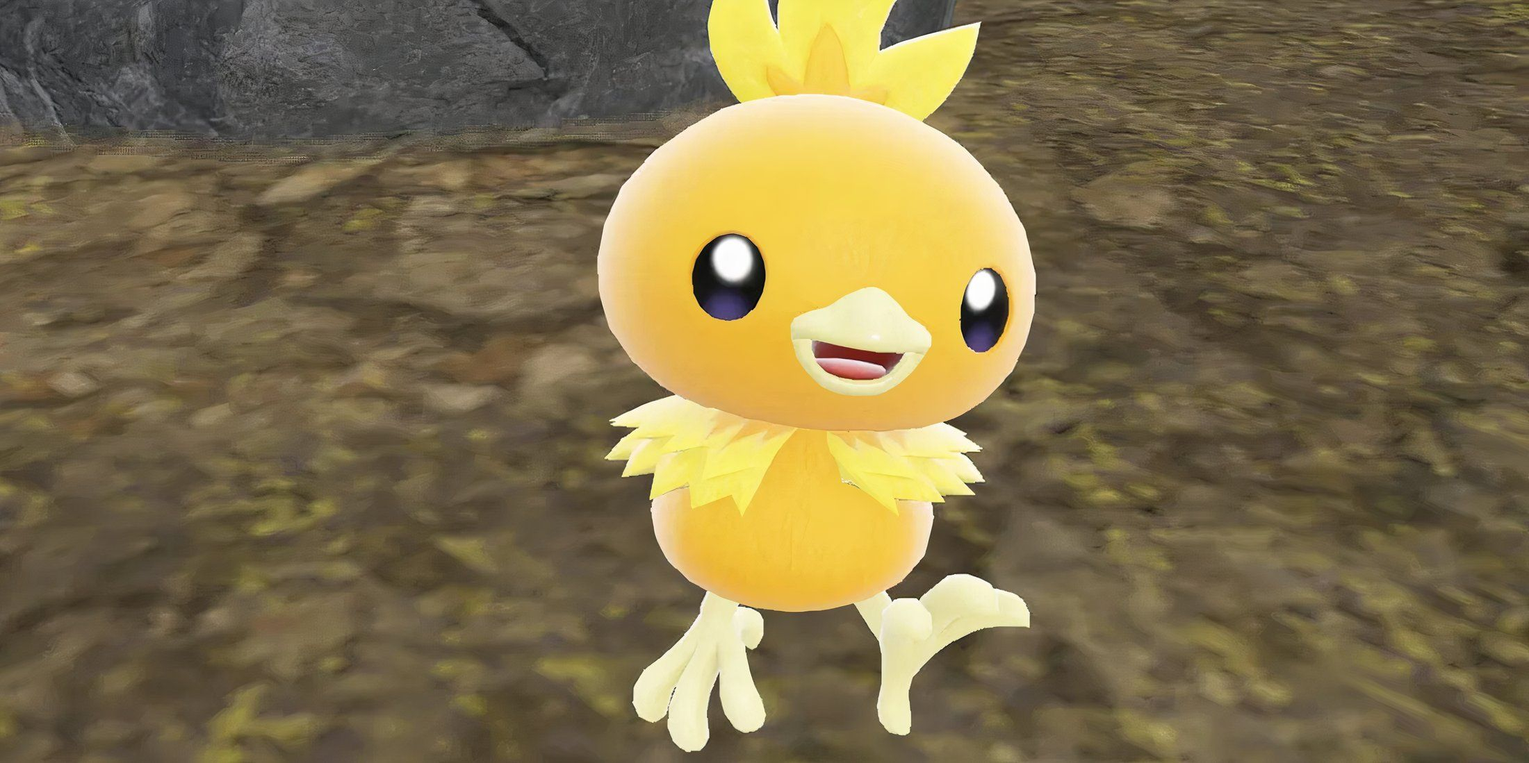 Pokemon Fan Creates Incredibly Realistic Animation of Torchic - OpenCritic
