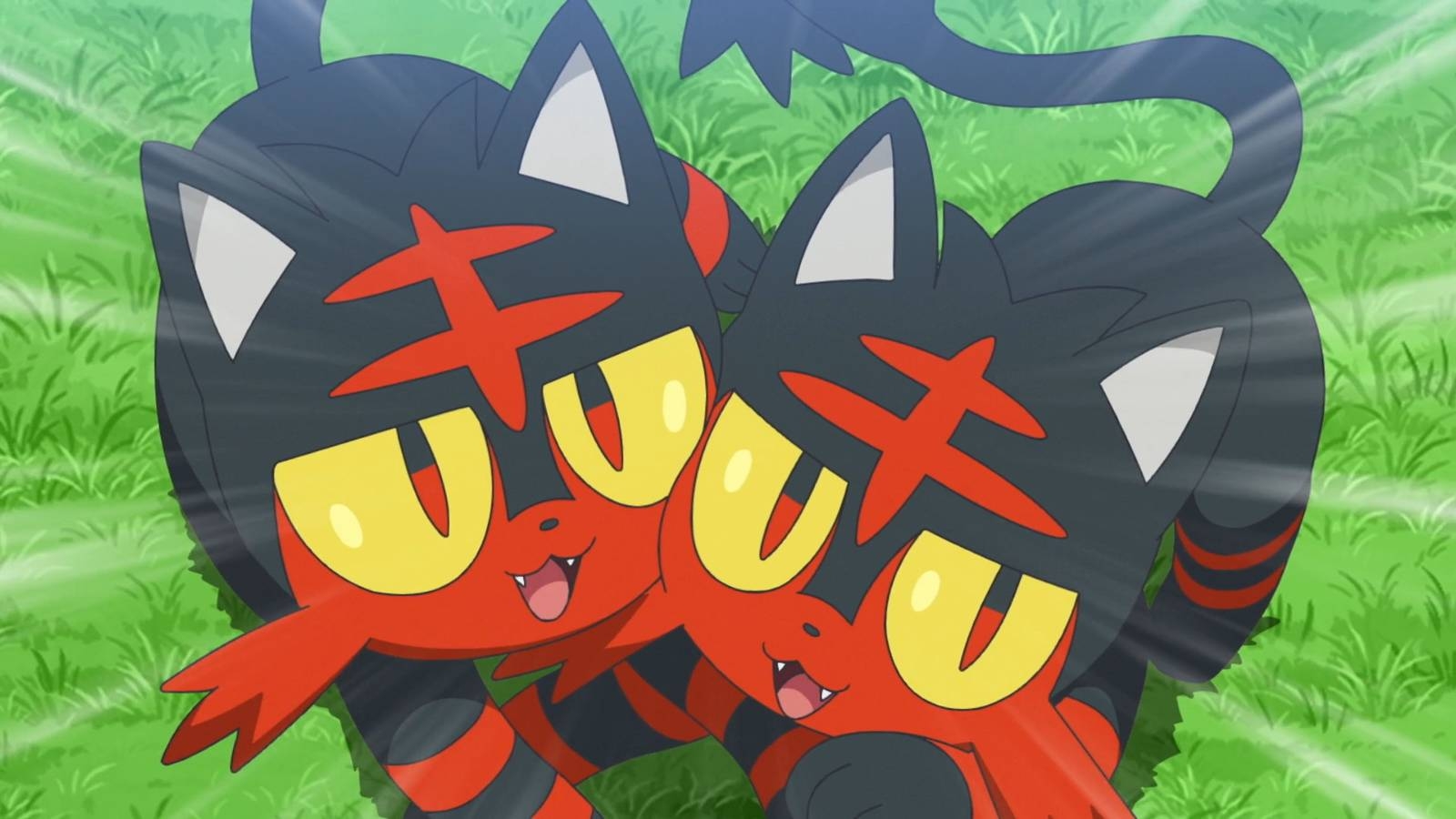 New Litten Pokemon Build-a-Bear Revealed - OpenCritic