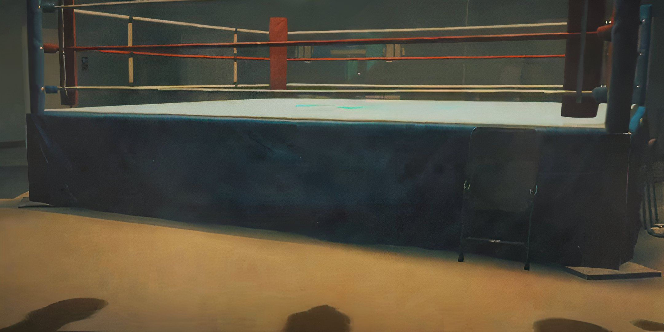 Call Of Duty And WWE Fans Share What They Want To See In Upcoming ...