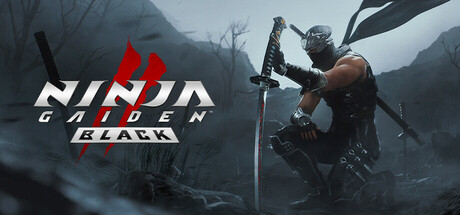 Ninja Gaiden 2 Black Critic Reviews - OpenCritic