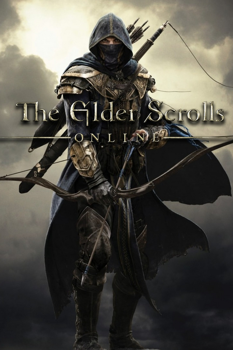Elder Scrolls Online Assassin