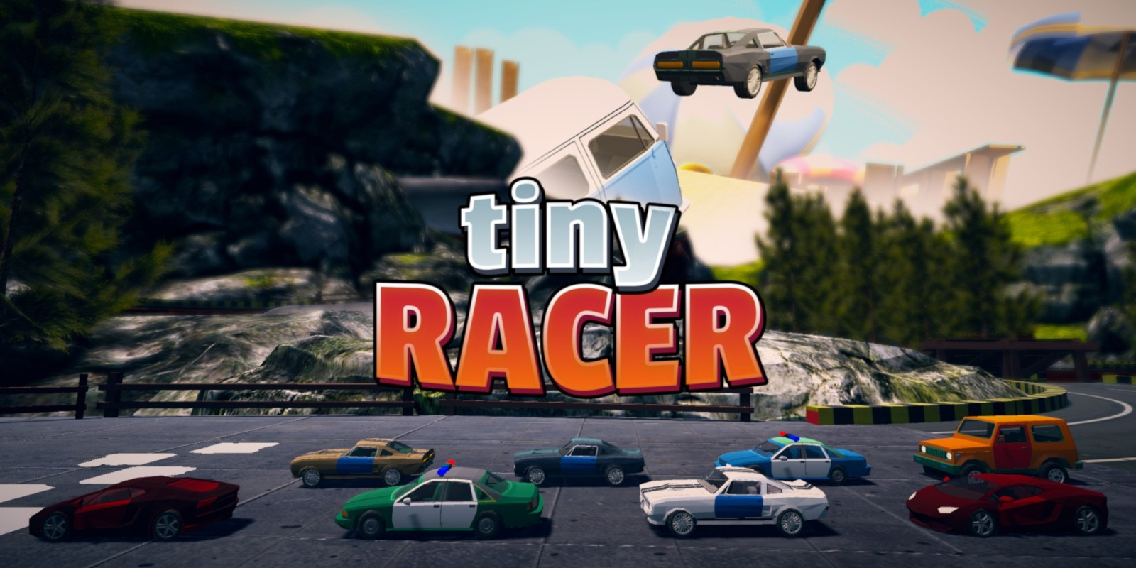Tiny Racer Reviews - OpenCritic